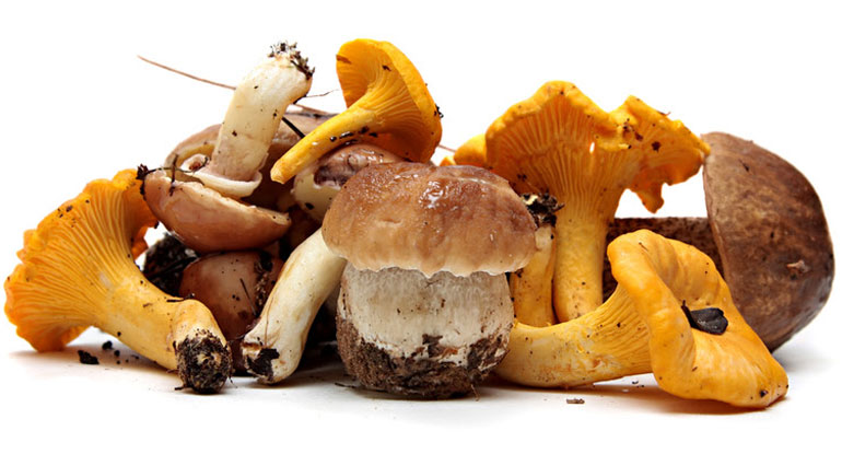 “La Pentola” Chef Travis McCord To Present Foraged Mushroom Feast On ...