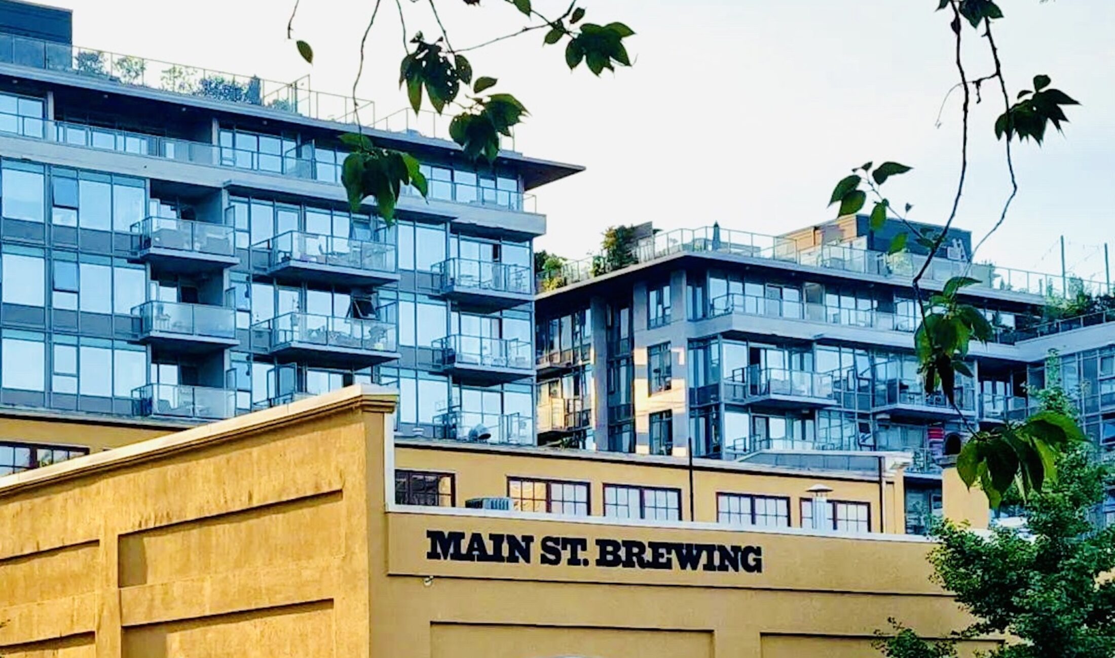 Main St. Brewing – Scout Magazine