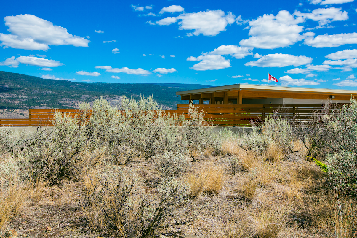 Sage Hills Estate Winery & Vineyards – Scout Magazine