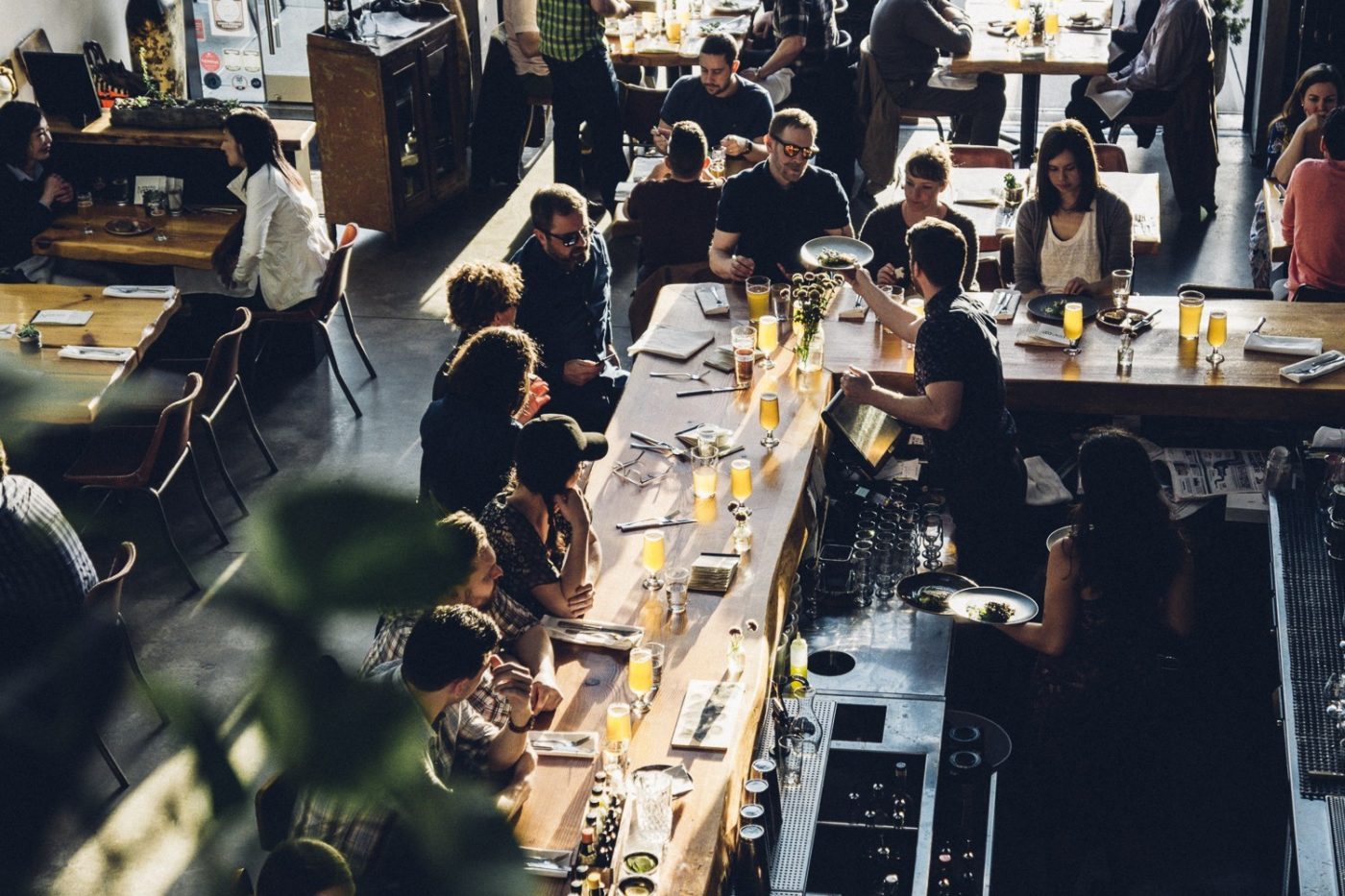 Nomad Launches New Spring/Summer Menu – Scout Magazine