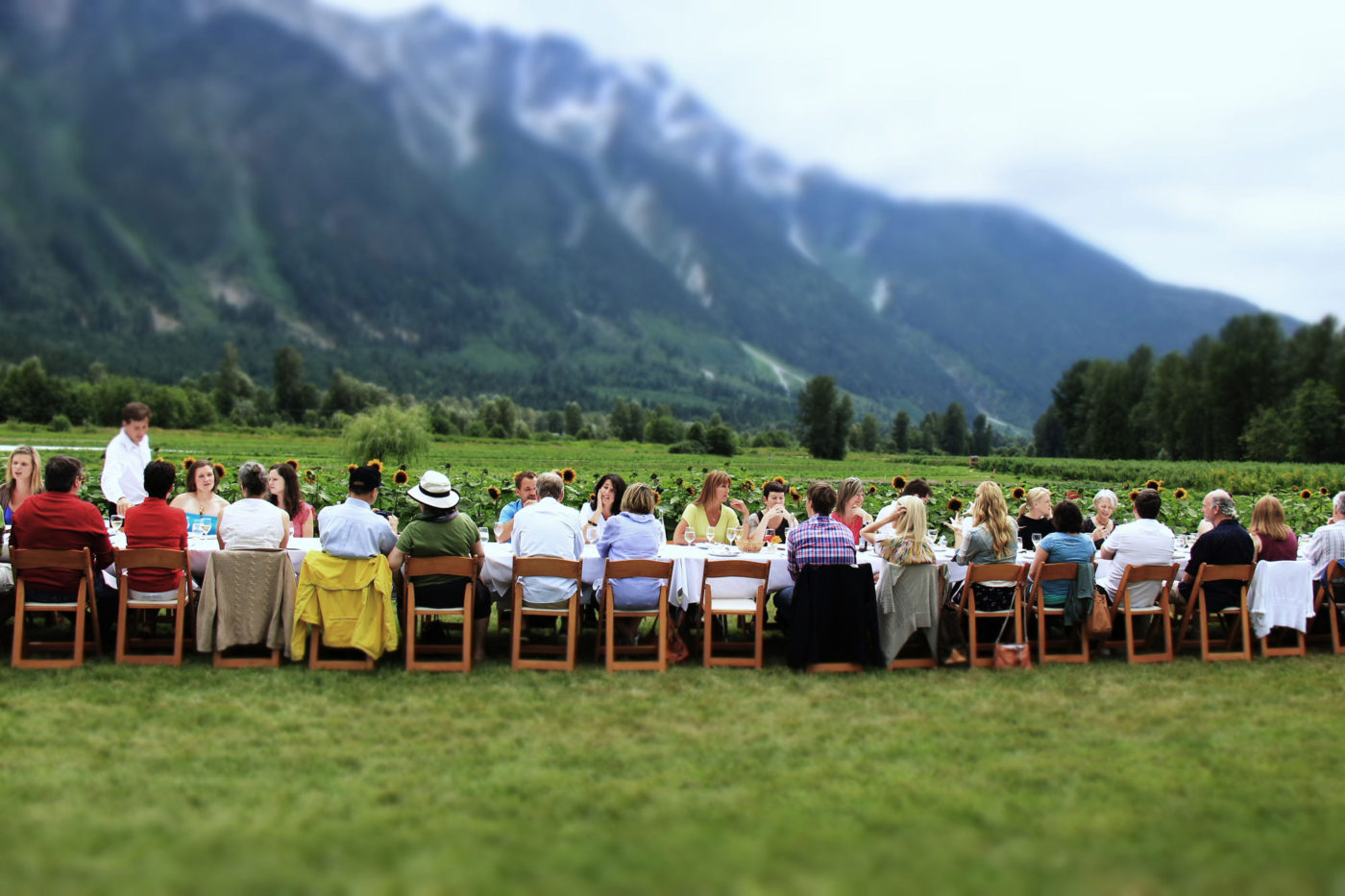 This Summer’s Best Long Table Feasts – Scout Magazine