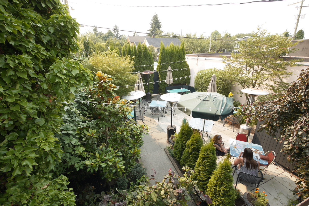 Get Festive on the Arbor Patio This Cinco de Mayo – Scout Magazine