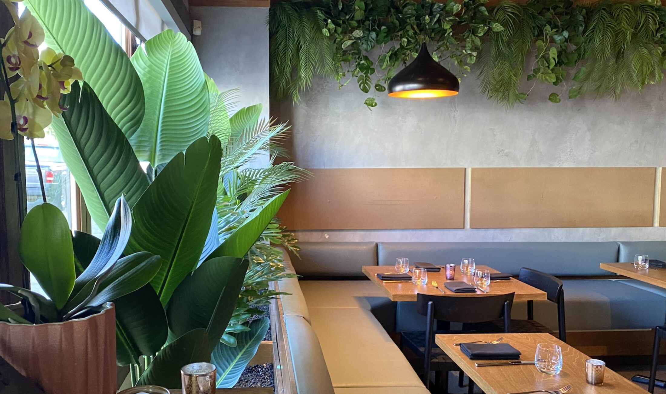 A Look Inside Suyo, Opening August 25th – Scout Magazine