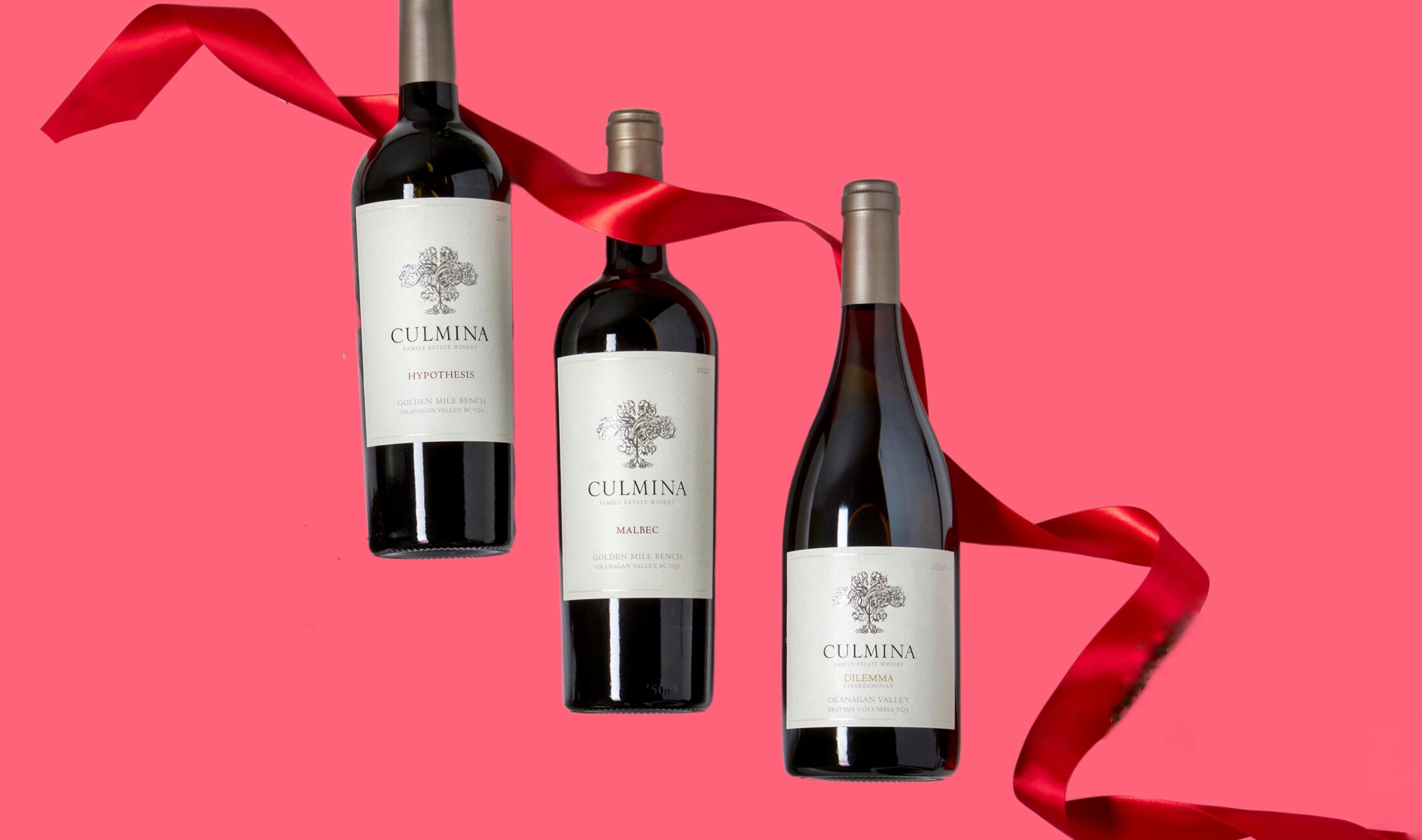 Scout’s Holiday Wine Guide – Scout Magazine