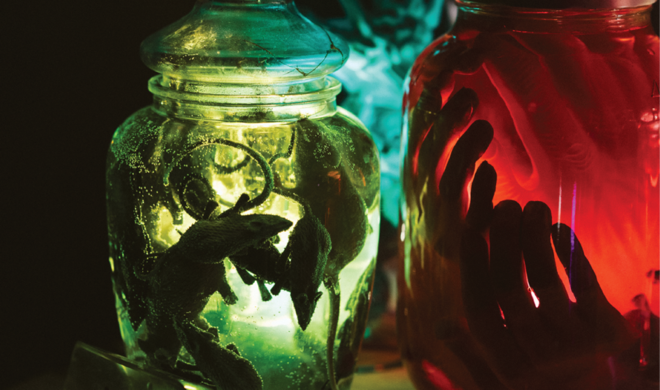 Dead Fellows Haunted Brewhouse Returns Next Week! – Scout Magazine