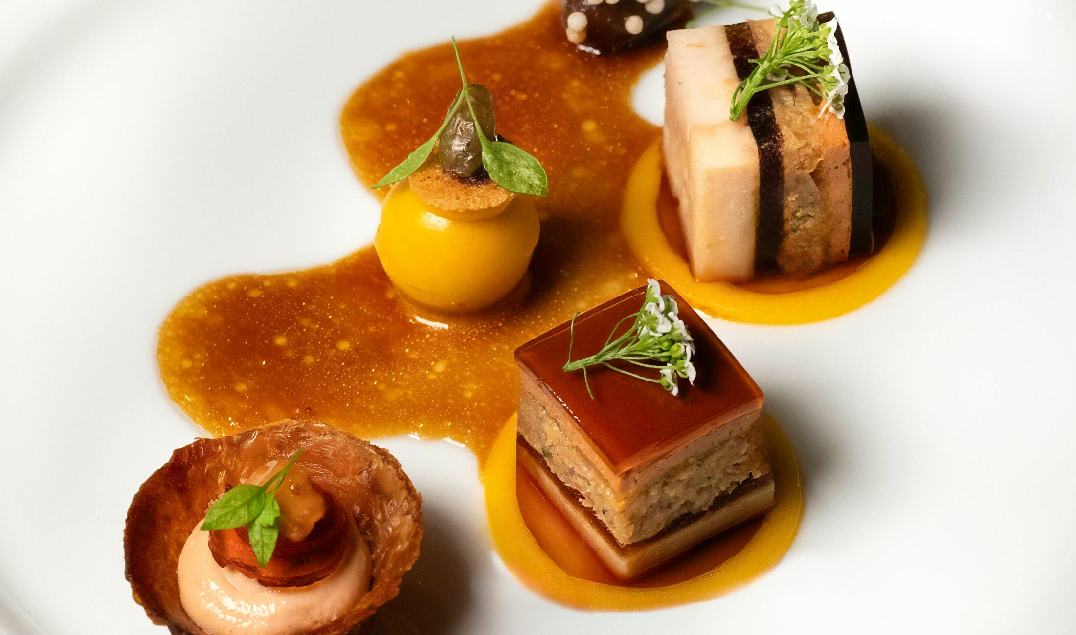 BLVD’s Chef Jay Park Wins Gold at 2026 Canadian Culinary Championship ...