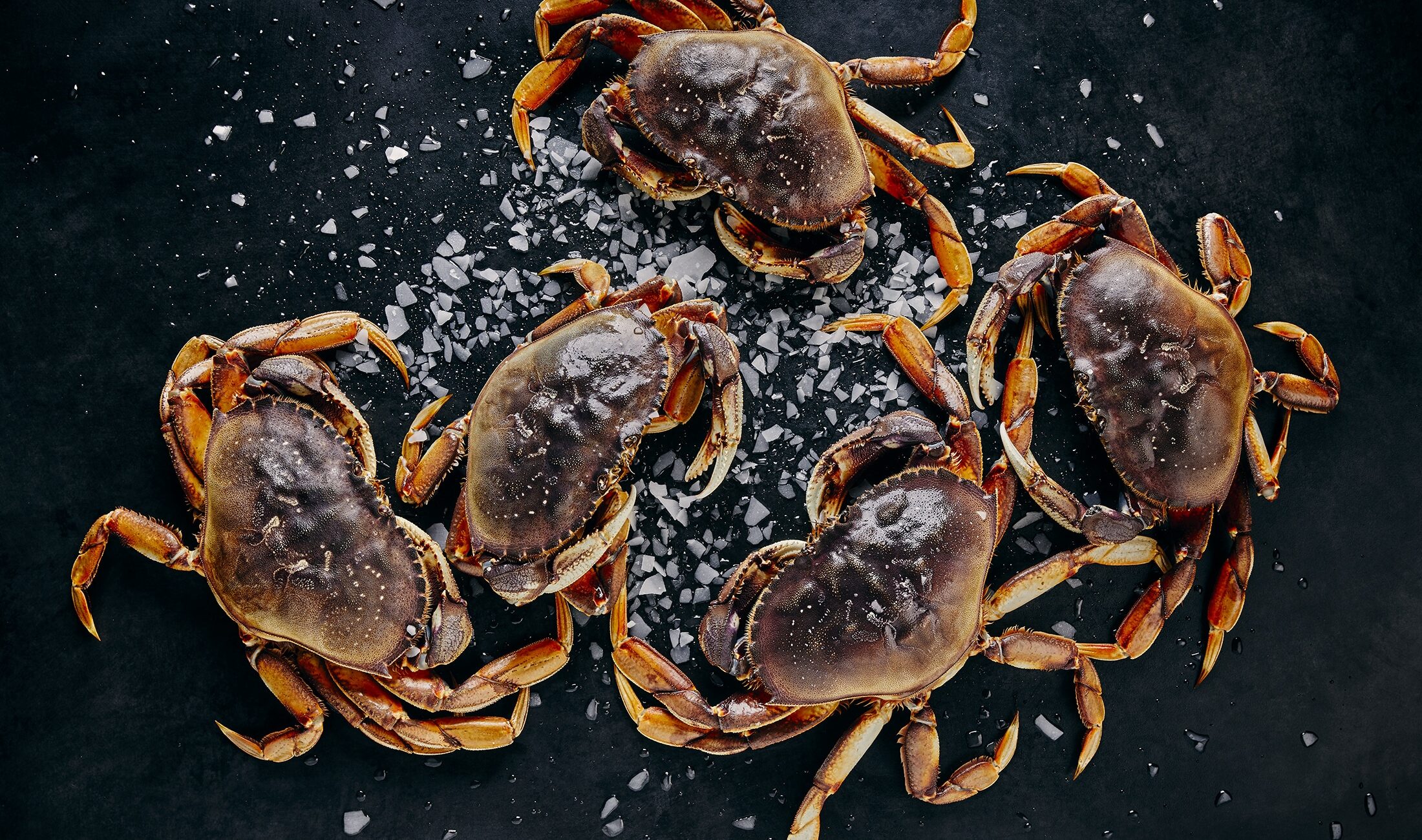 False Creek Crab Fest Returns July 26th, Celebrating BC’s Sustainable ...